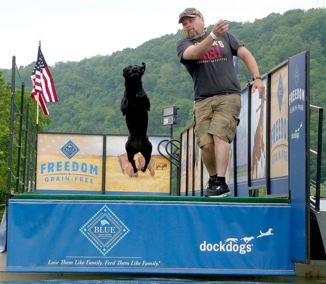 Making a splash at DockDogs competition - Observer-Reporter
